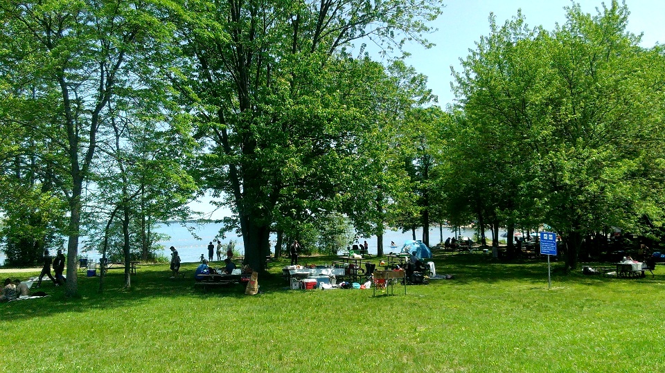Ontario Hidden Jewel - Sibbald Point Provincial Park - All Ontario