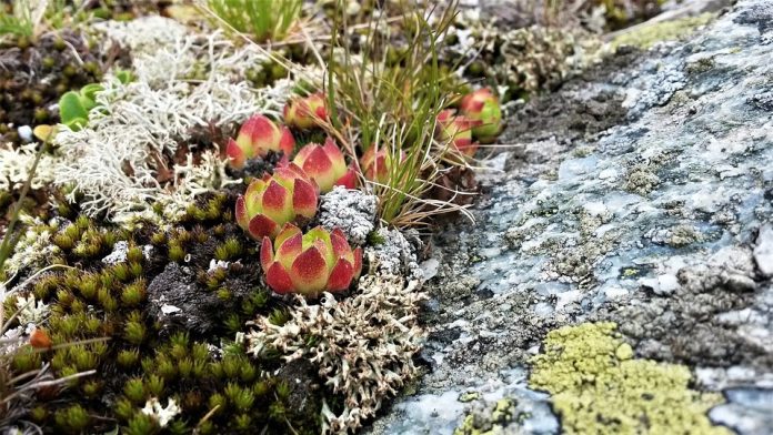 7 Natural wonders of Bruce Peninsula National Park - AllOntario