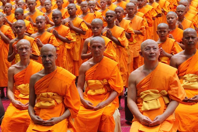 10 Surprising facts about saffron - AllOntario